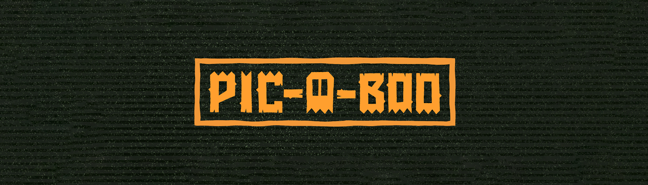 Pic-a-Boo - IMXD Lab